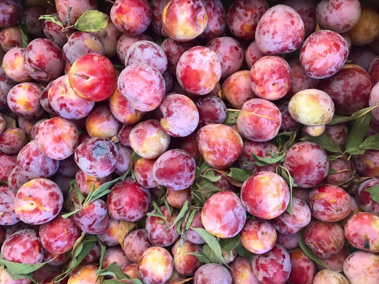 The Many Benefits of Stone Fruit - Sharon Palmer, The Plant Powered ...