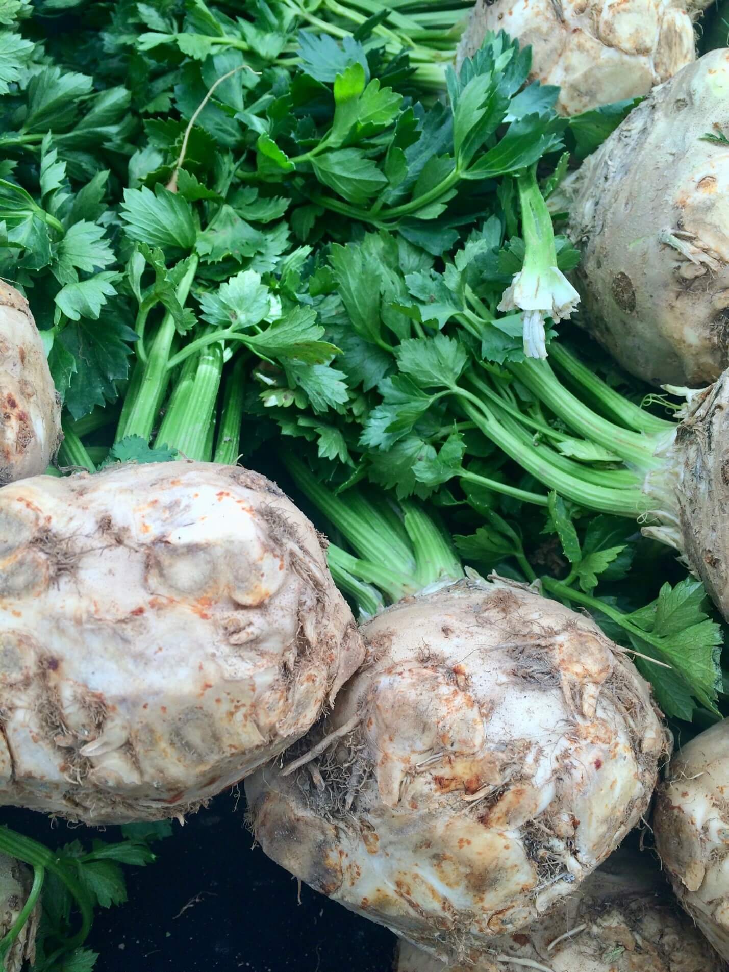 Top 5 Ways to Cook Celery Root - Sharon Palmer, The Plant Powered Dietitian