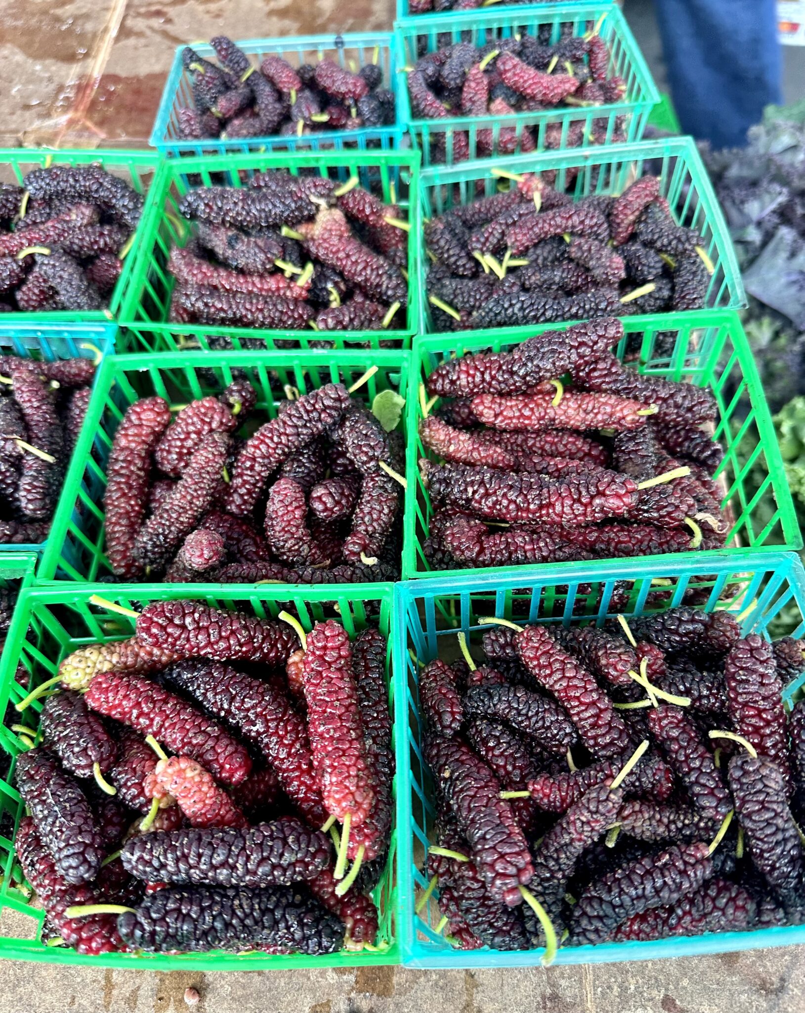 Top 5 Ways to Use Mulberries - Sharon Palmer, The Plant Powered Dietitian