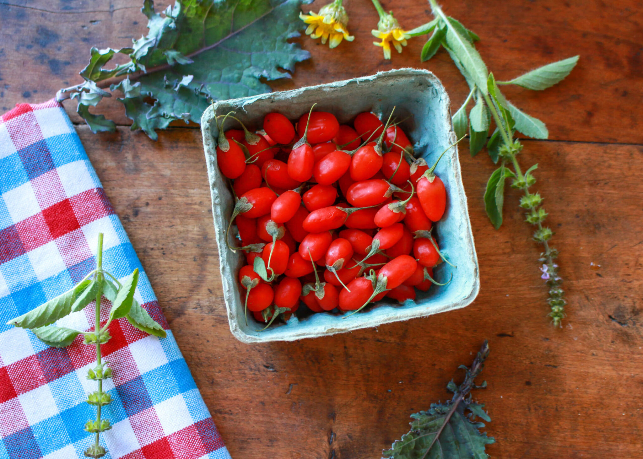 Top 5 Ways to Use Goji Berries - Sharon Palmer, The Plant Powered Dietitian